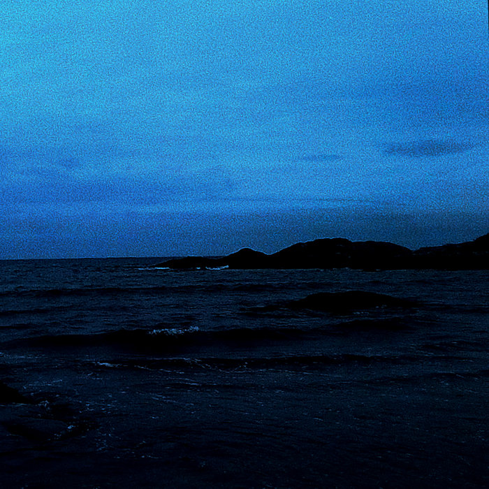 No One Expected You to Be Here | Cape Moss