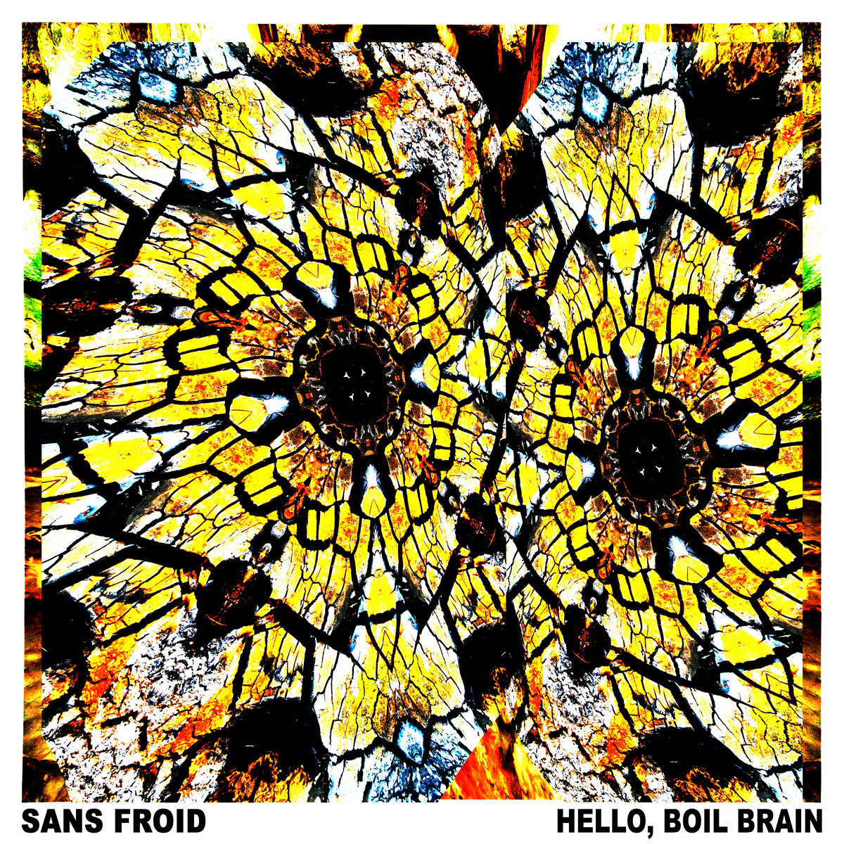 Hello, Boil Brain | Sans Froid