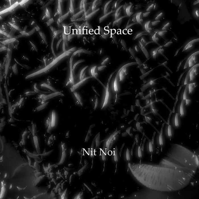 Nit Noi | Unified Space