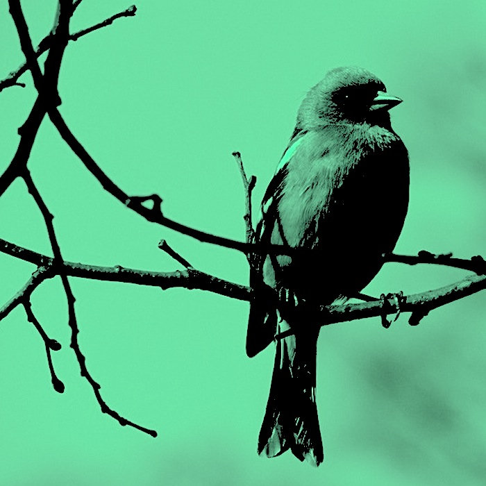 Almost [Reissue] | Alex Pascal | Doctor Professor Records