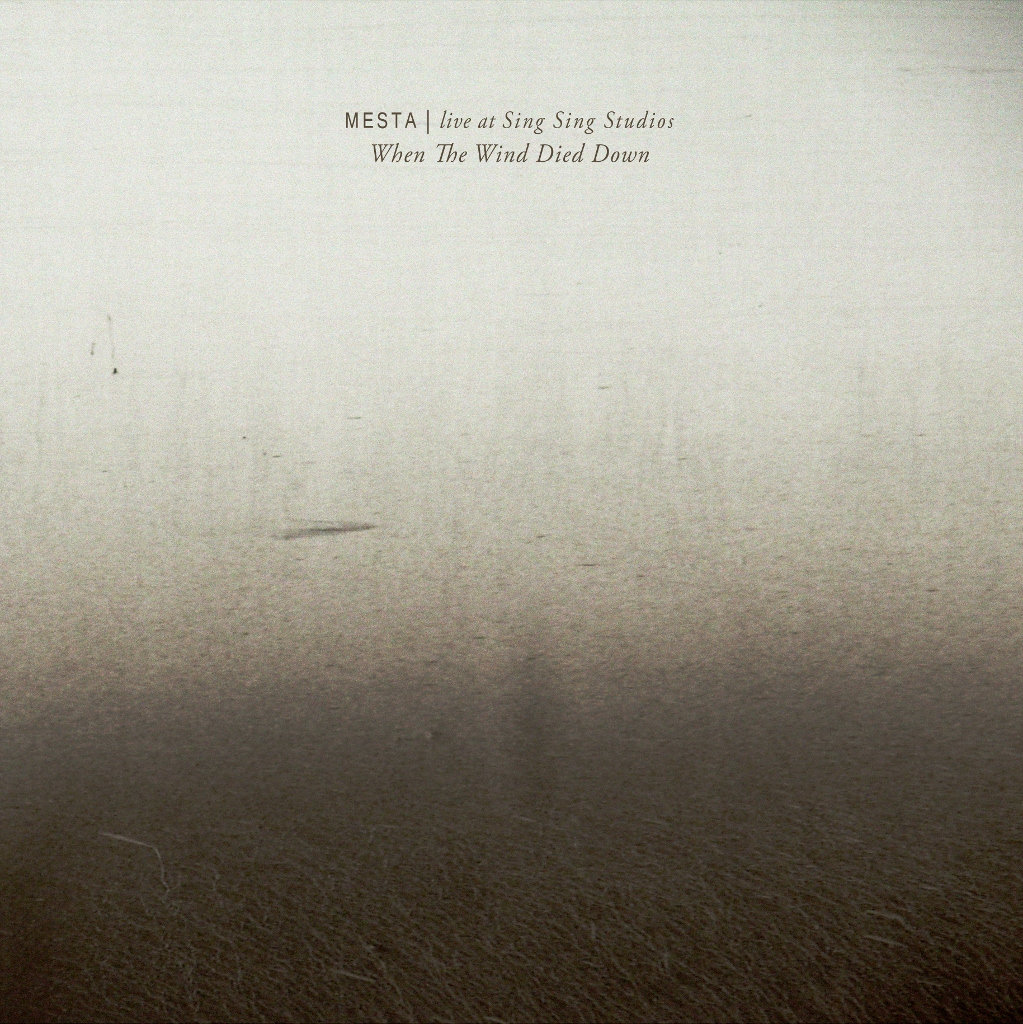 When The Wind Died Down | MESTA