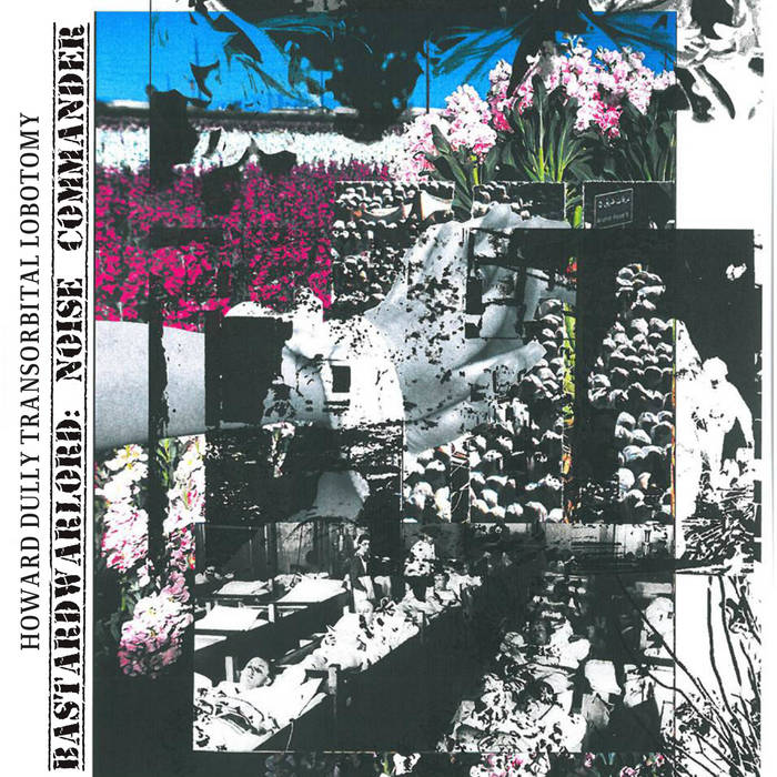 Howard Dully Before After