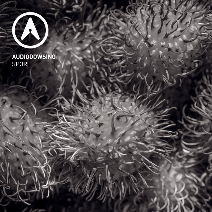 Spore | Audiodowsing Music Production Co.