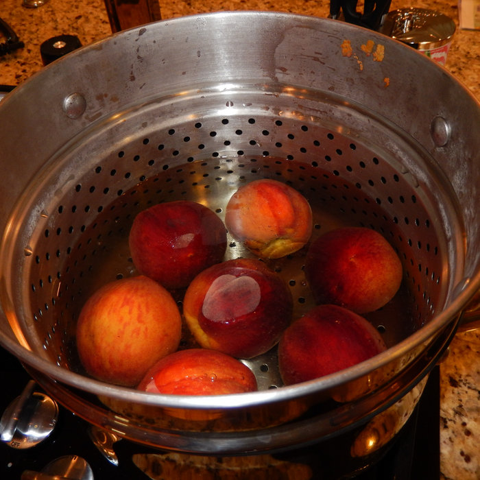Pampered Chef Chicken Ring Recipe Lemon | Janedalys | liniptolenar