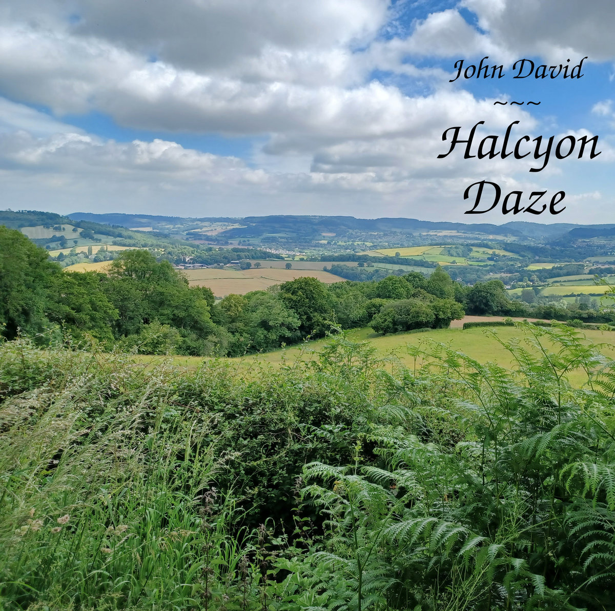 Halcyon Daze | John David