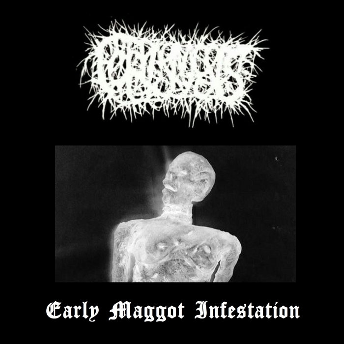 Early Maggot Infestation (Compilation) | Ectoplasmosis (ExPxSx)