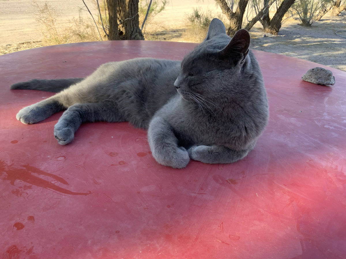 Aqxu 3 (for George) | Trace Hints