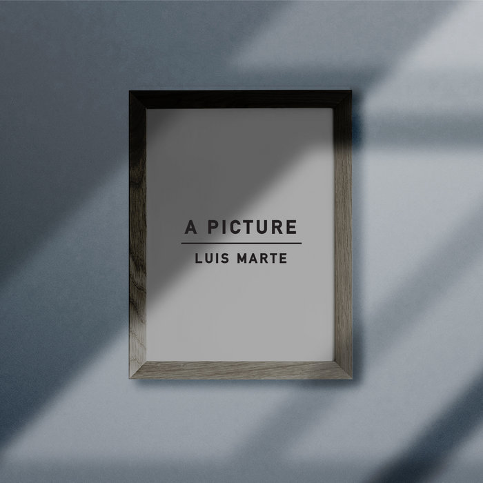 A PICTURE | LUIS MARTE | Plus Timbre