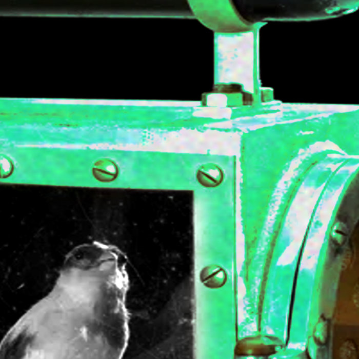 OUT WITH THE IN | METADATA PSYCHOLOGIST | light source company.