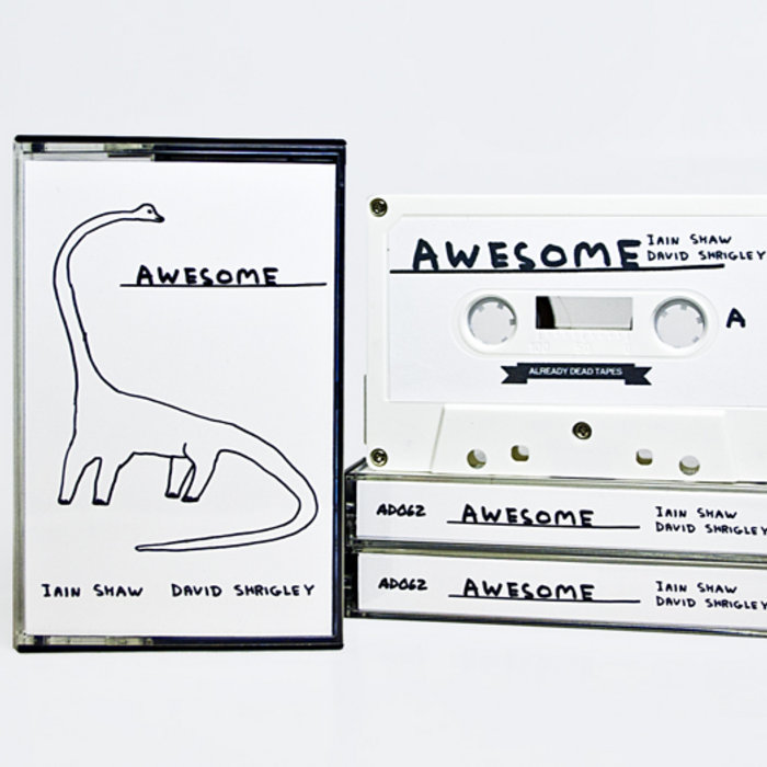 Awesome | Iain Shaw / David Shrigley | Already Dead Tapes and Records