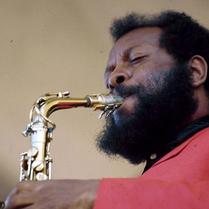 Hornet | Barraco Barner