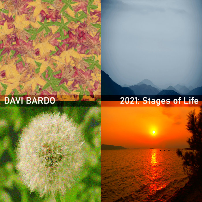 2021: Stages of Life | DAVI BARDO