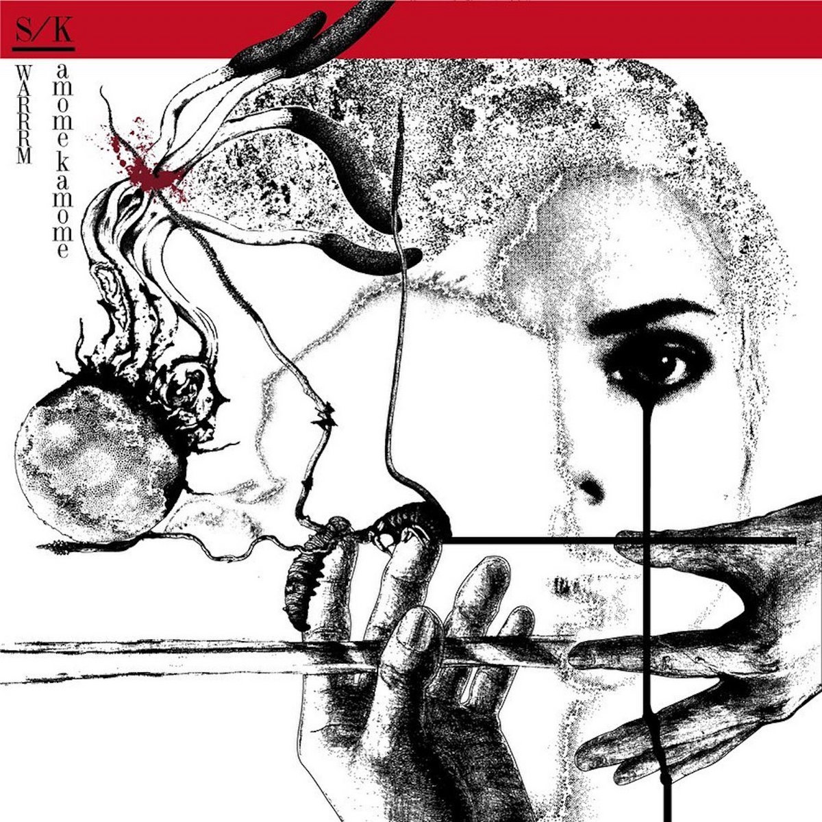 SK split | SWARRRM, kamomekamome | 3LA -LongLegsLongArms Records-