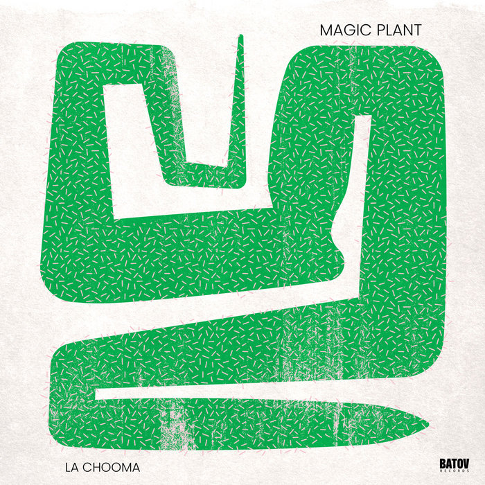 Magic Plant | La Chooma