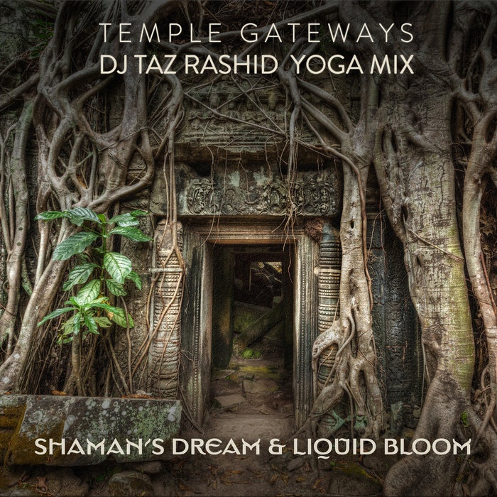 Temple Gateways (DJ Taz Rashid Yoga Mix) | Liquid Bloom, Shamans Dream ...