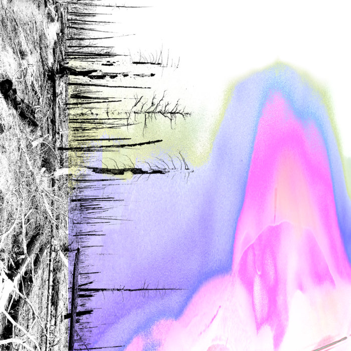 Discrepanze convergenti | Sharema | Slow Tone Collages