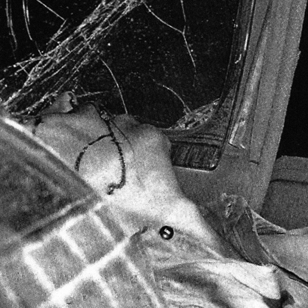 Crucified Bite Down KIDNAPPED crucified-bite-down-kidnapped