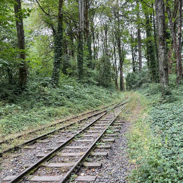 Beauty Revealed | Neil Heaton