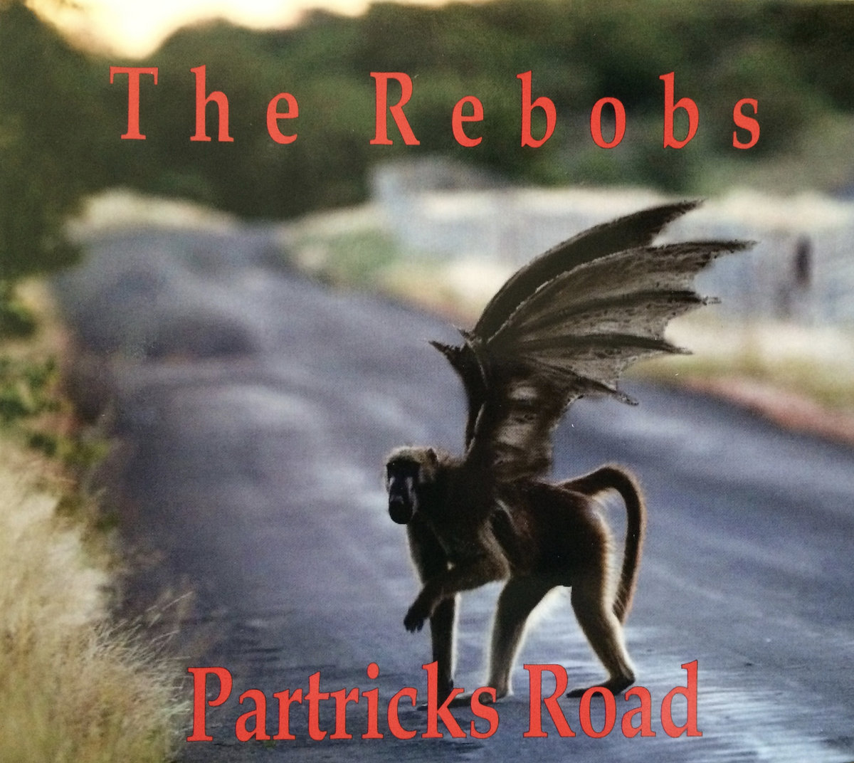 Partricks Road | The Rebobs