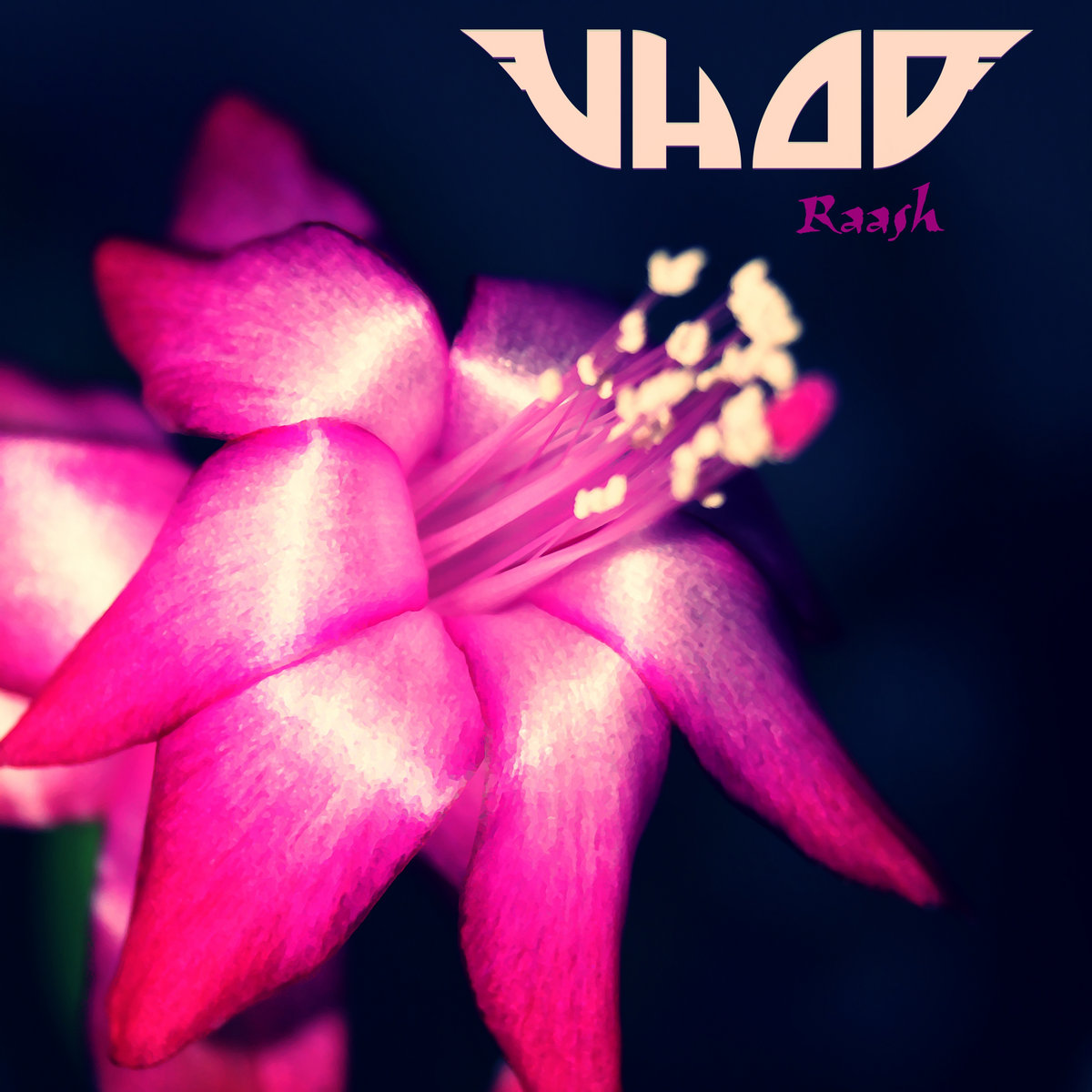 Raash | VHOD