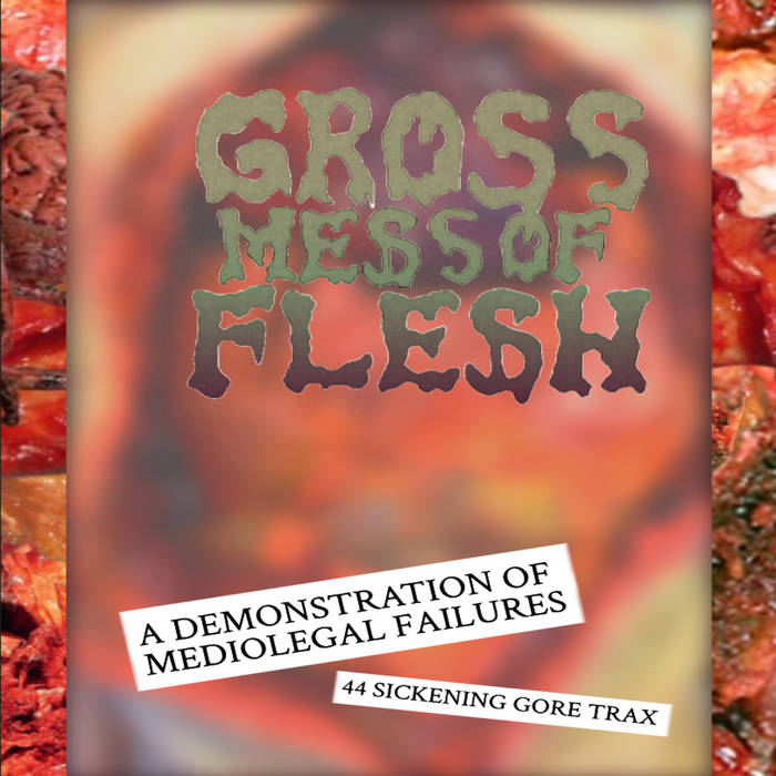 Gross Mess Of Flesh - A Demonstration Of Mediolegal Failures | GROSS ...