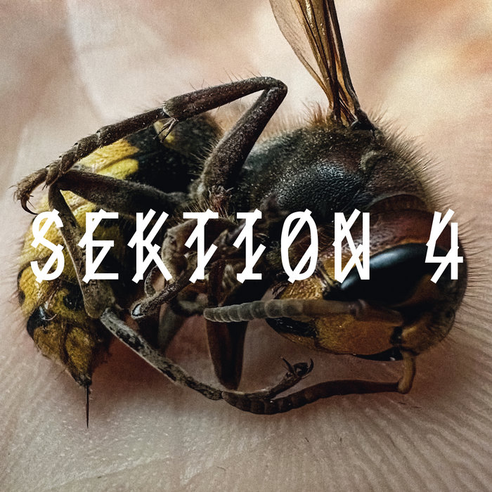 SEKTION 4 | VARIOUS ARTISTS | 44 LABEL GROUP