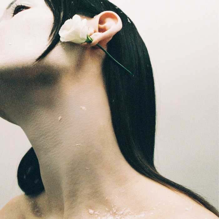 Adore You | Rosa Damask