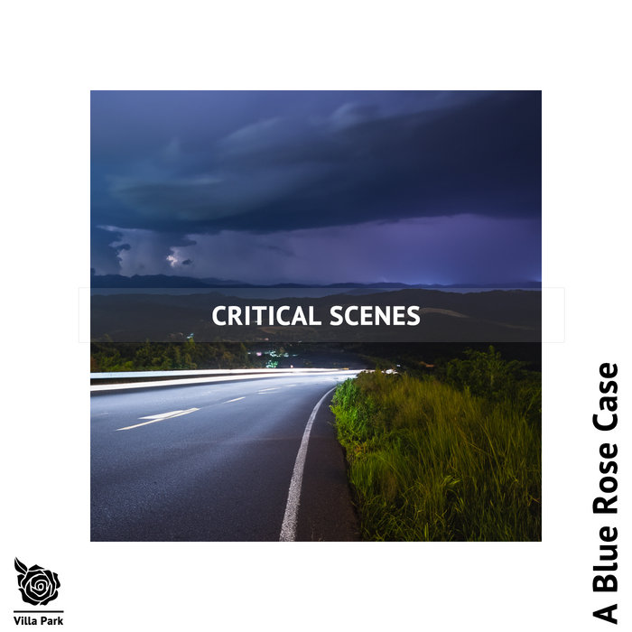 Critical Scenes | A Blue Rose Case