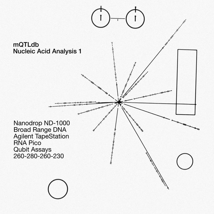Nucleic Acid Analysis 1 | mQTLdb | Nucleic Acid Analysis