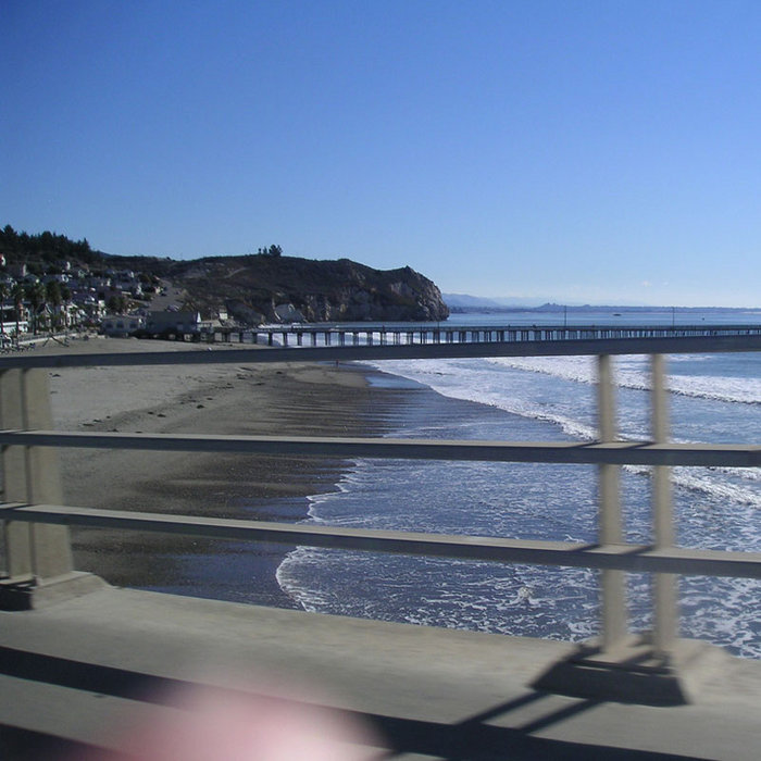 Biddy Bids | Jet Jaguar