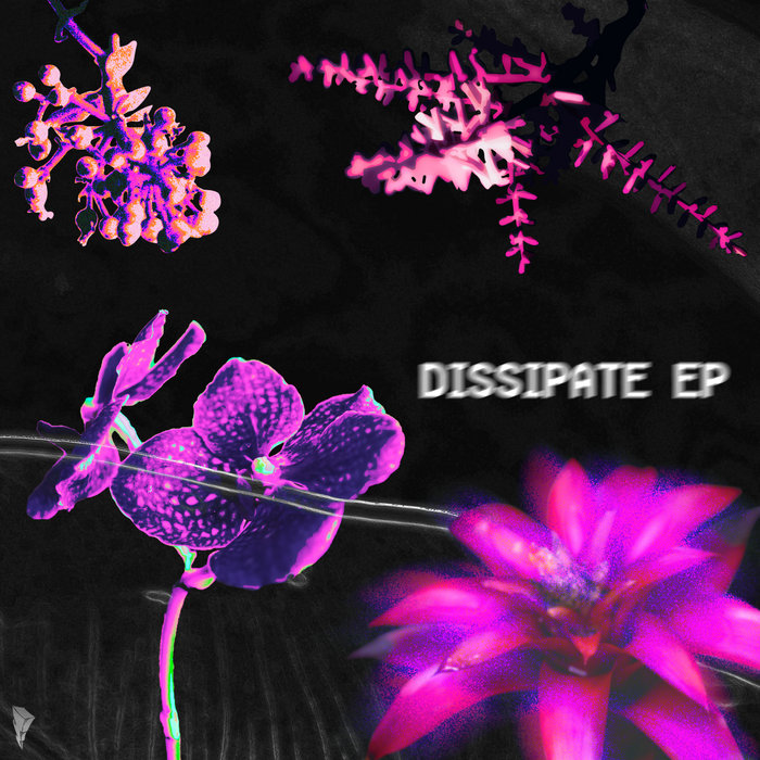 Dissipate EP | Powers Up