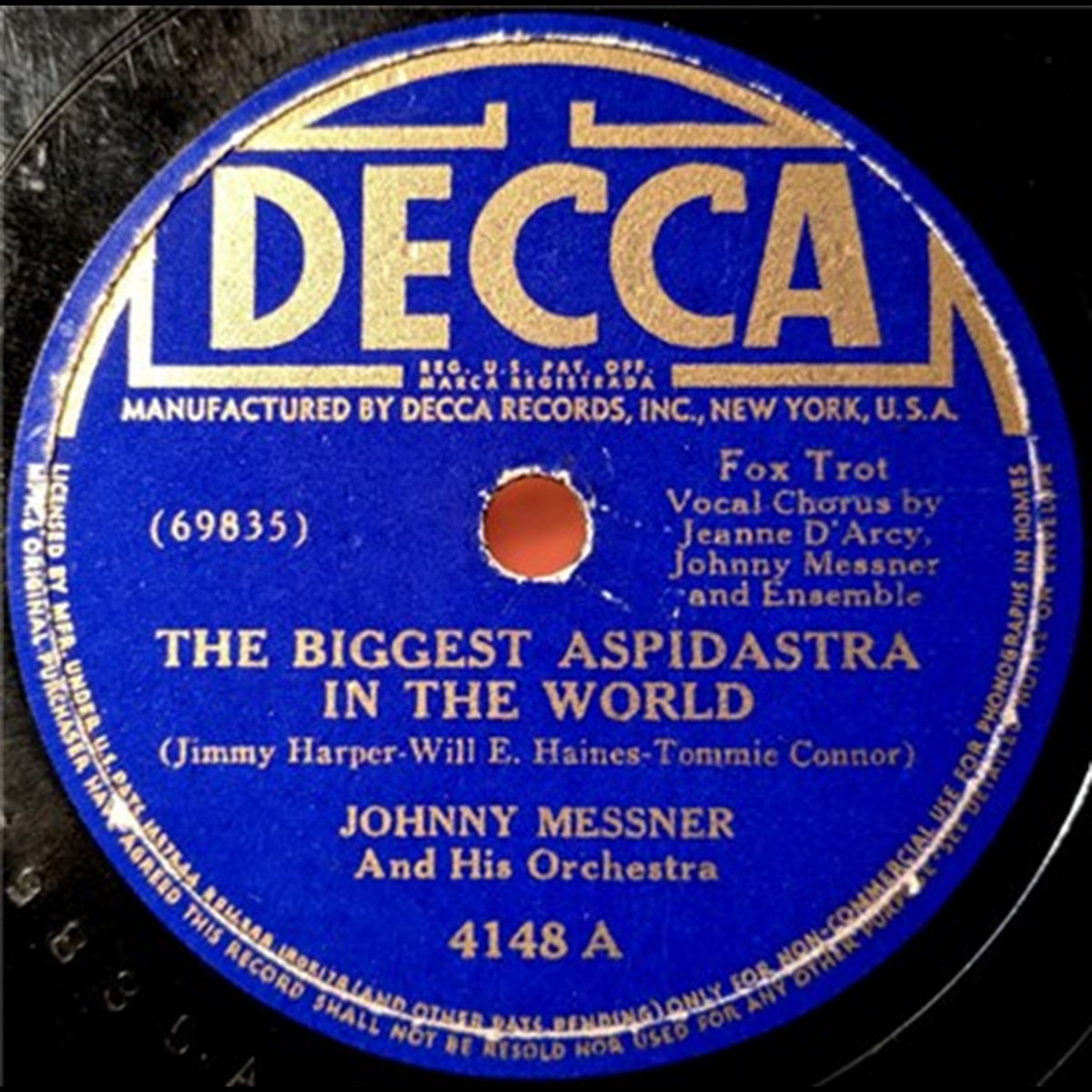 The Biggest Aspidastra In The World The Penny Polka | Johnny Messner ...