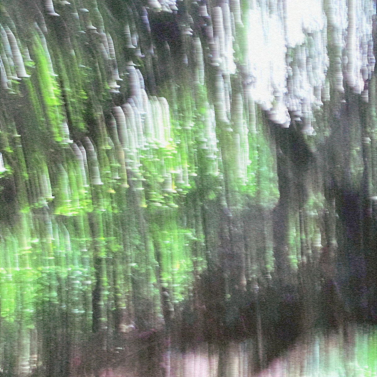 Position Chrome | Robinson's Village