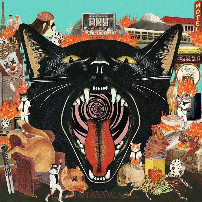 Cat Out of Hell | Fantastic Cat