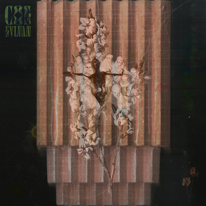 Rayless | Cos Sylvan