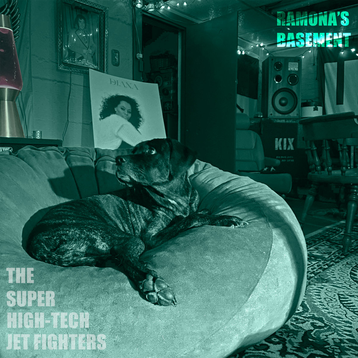 Ramona's Basement | The Super High-Tech Jet Fighters