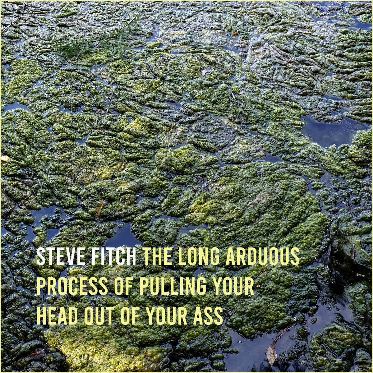 The Long Arduous Process of Pulling Your Head Out of Your Ass | Steve ...