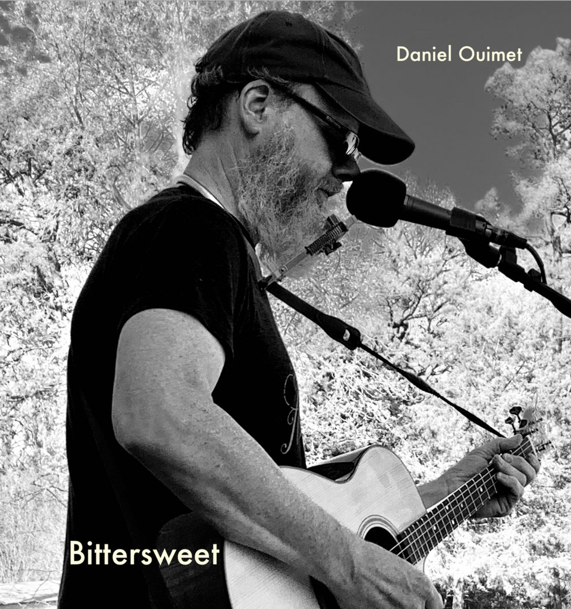 Bittersweet | Daniel Ouimet