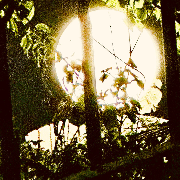 Lighting The Book | unsacred | EchoHouse