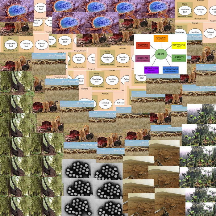 Life - Wikipedia | CSTACKS