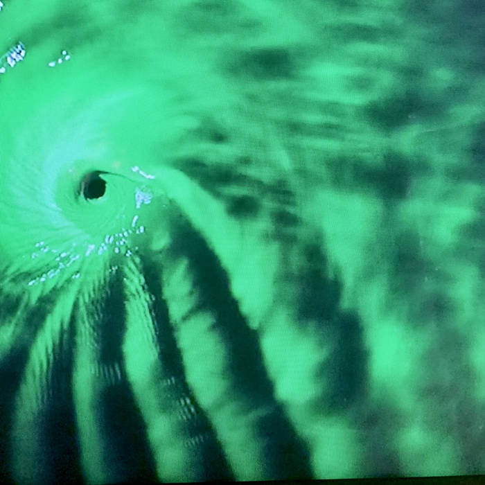 Sour Seeds | Austin Shepherd