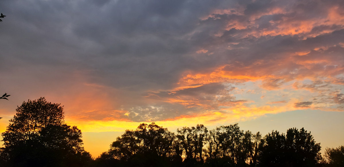 Gary Meadows | Greg Wilcox | 20 Blood Records