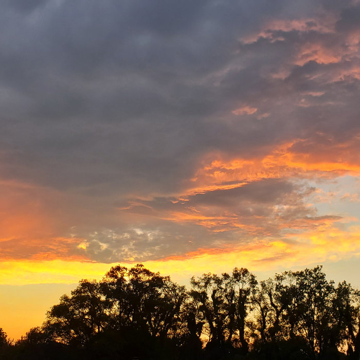 Gary Meadows | Greg Wilcox | 20 Blood Records