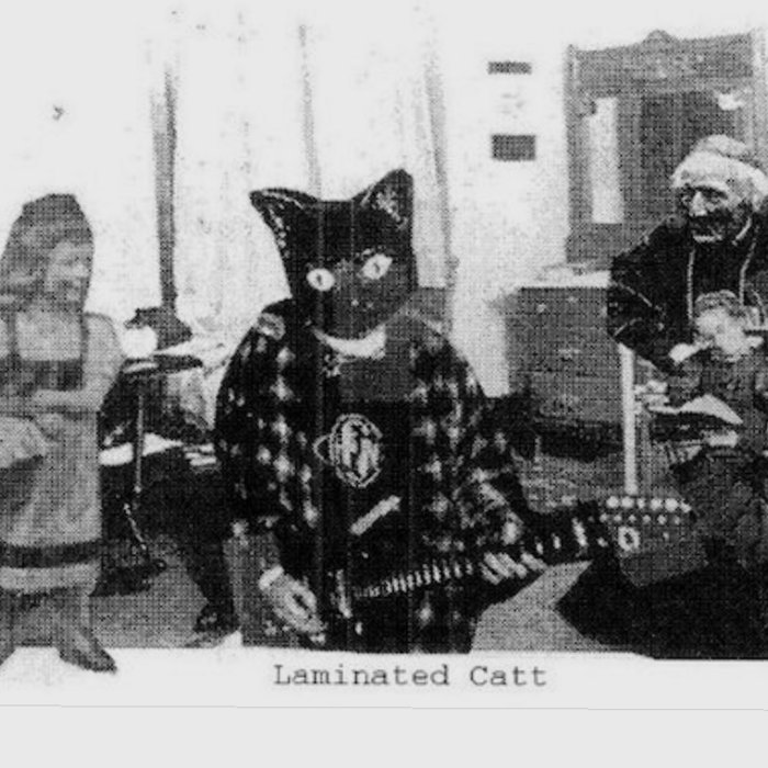 The Saurus Prt. Two | Laminated Cat