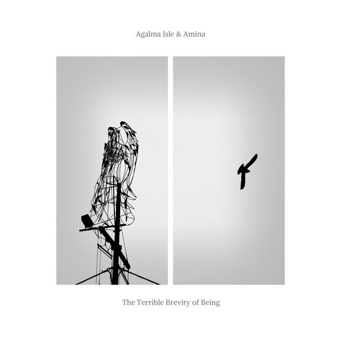 Agalma Isle / Amina | Agalma Isle & Amina | Agalma Isle