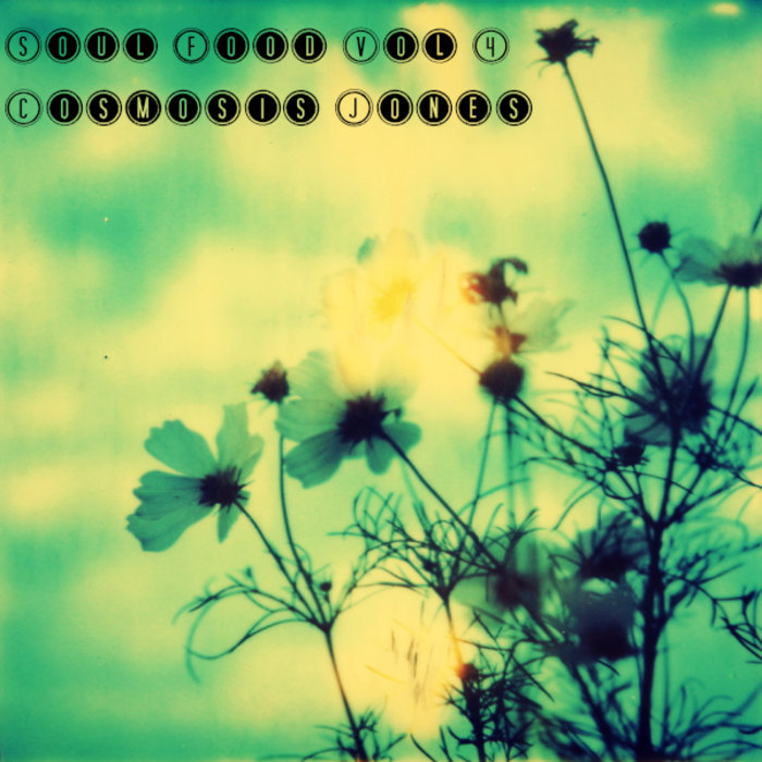 Soul Food Vol. 4 | Cosmosis Jones