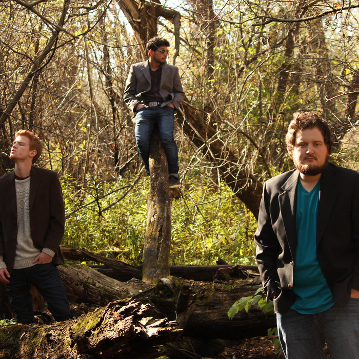 Still Weather | Graphic Nature