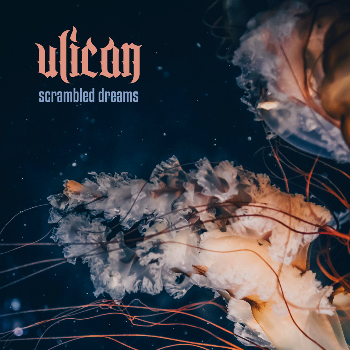 Scrambled Dreams | Ulican