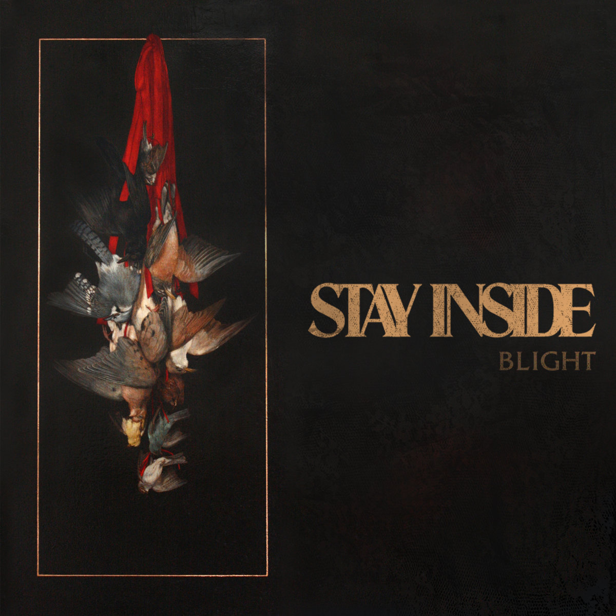 Blight [EP] | Stay Inside