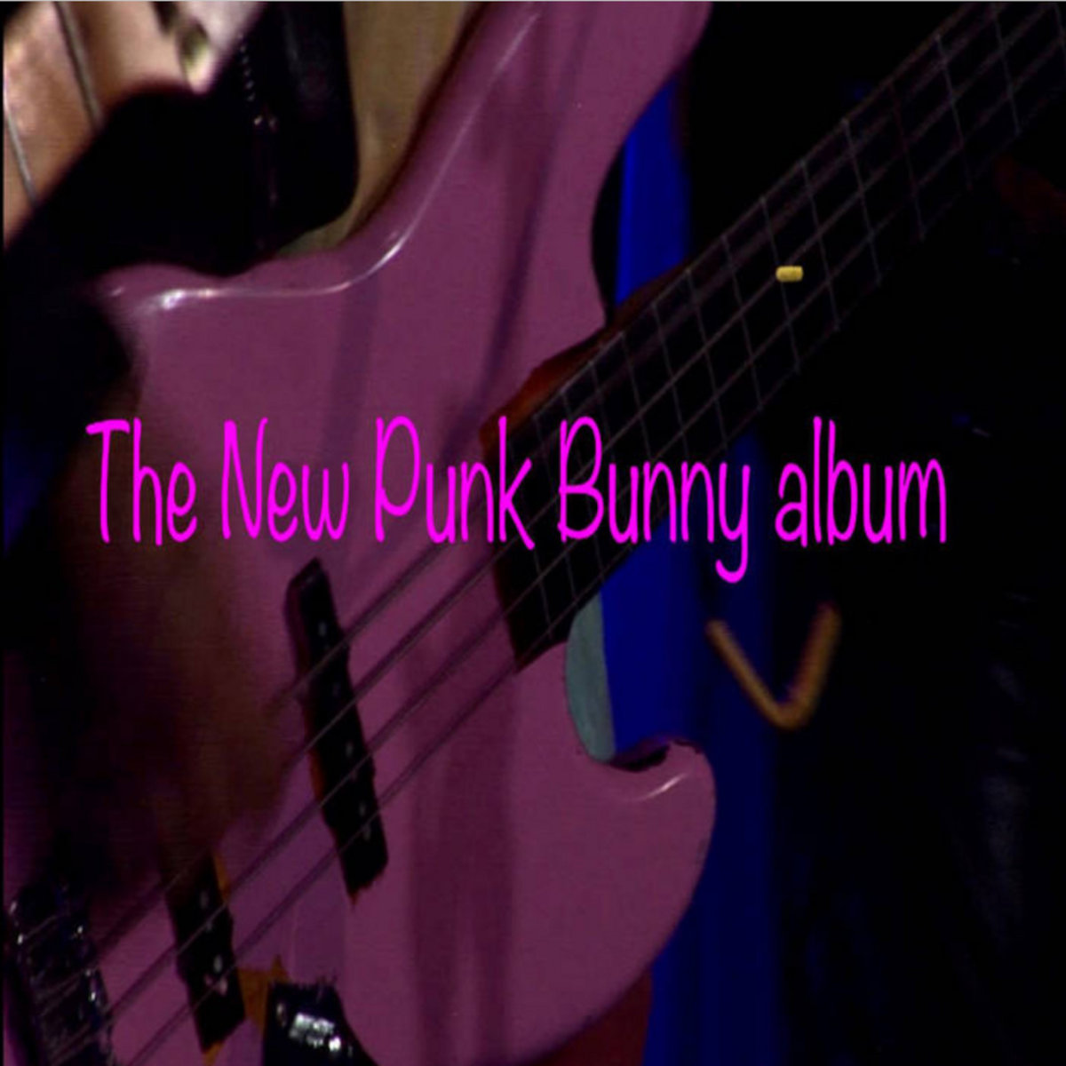 THE NEW PUNK BUNNY ALBUM | PUNK BUNNY